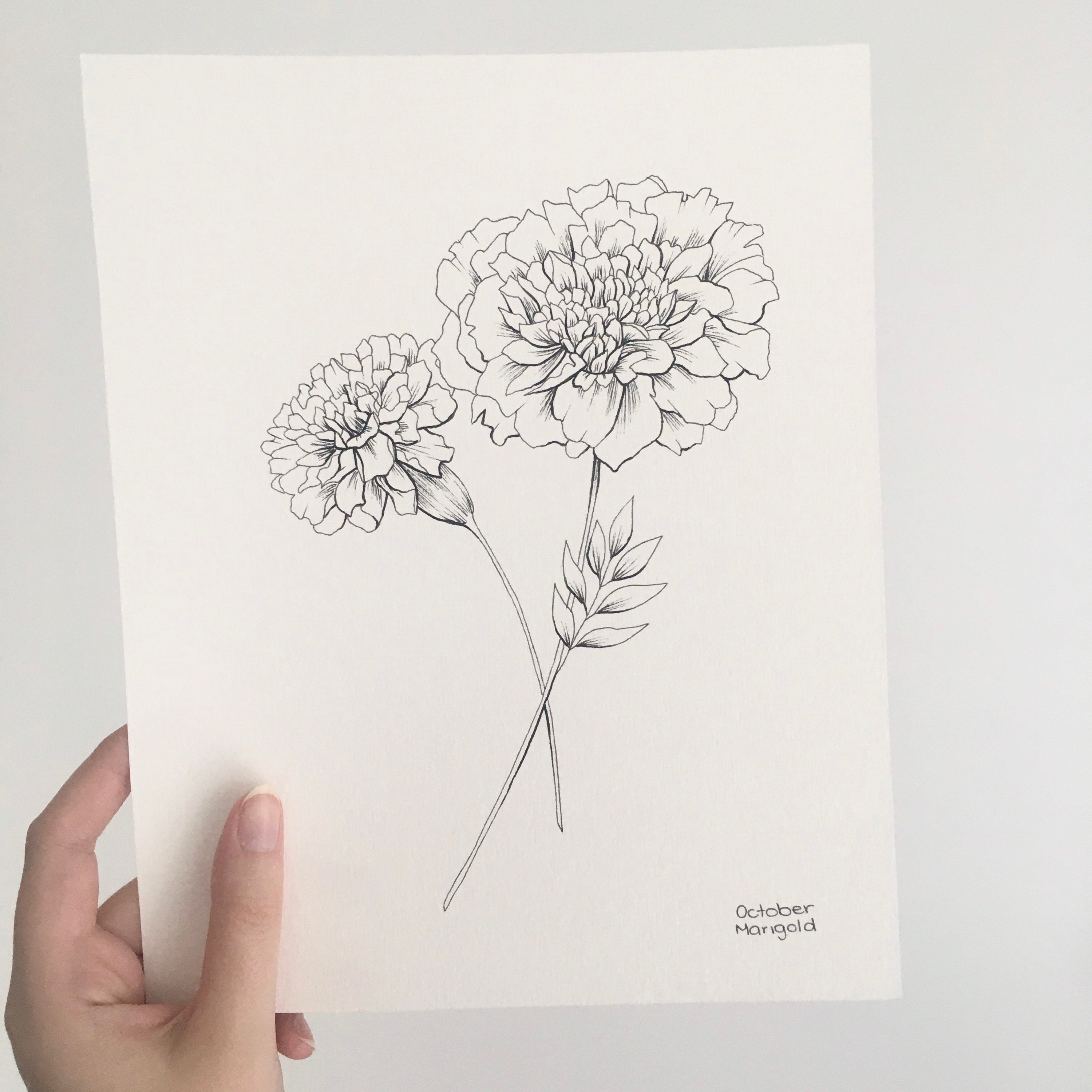 October Birth Flower Marigold