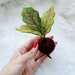 Felted Beet Brooch Felt Vegetables Beet Felted Brooch Felt Beet Brooch ...