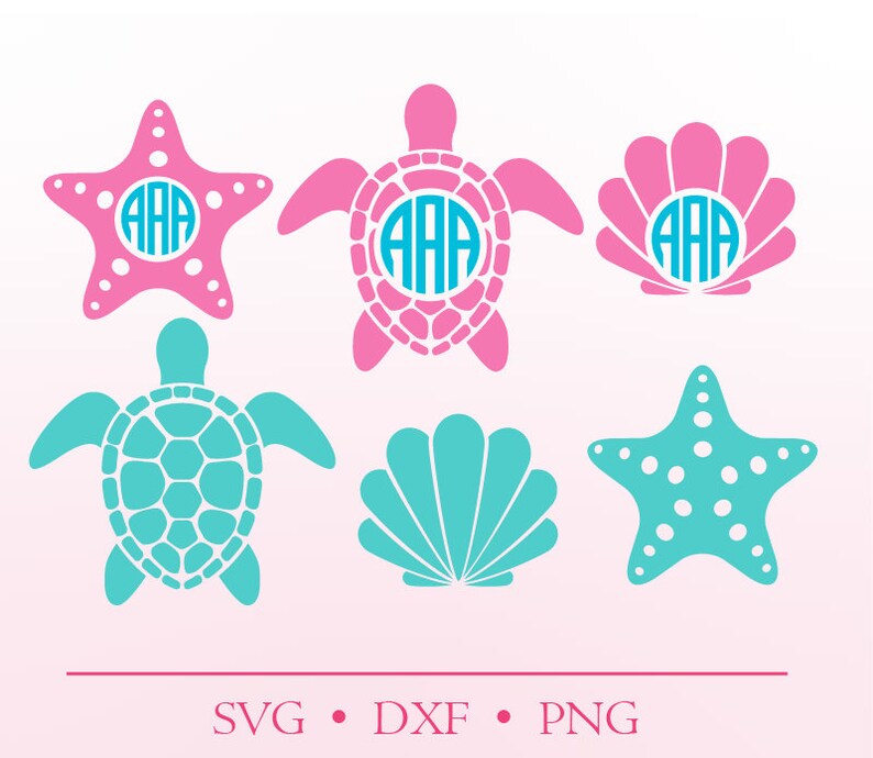 Sea Turtle SVG, Starfish Svg, Sea Star Svg, Sea Shells Svg, DXF, PNG ...