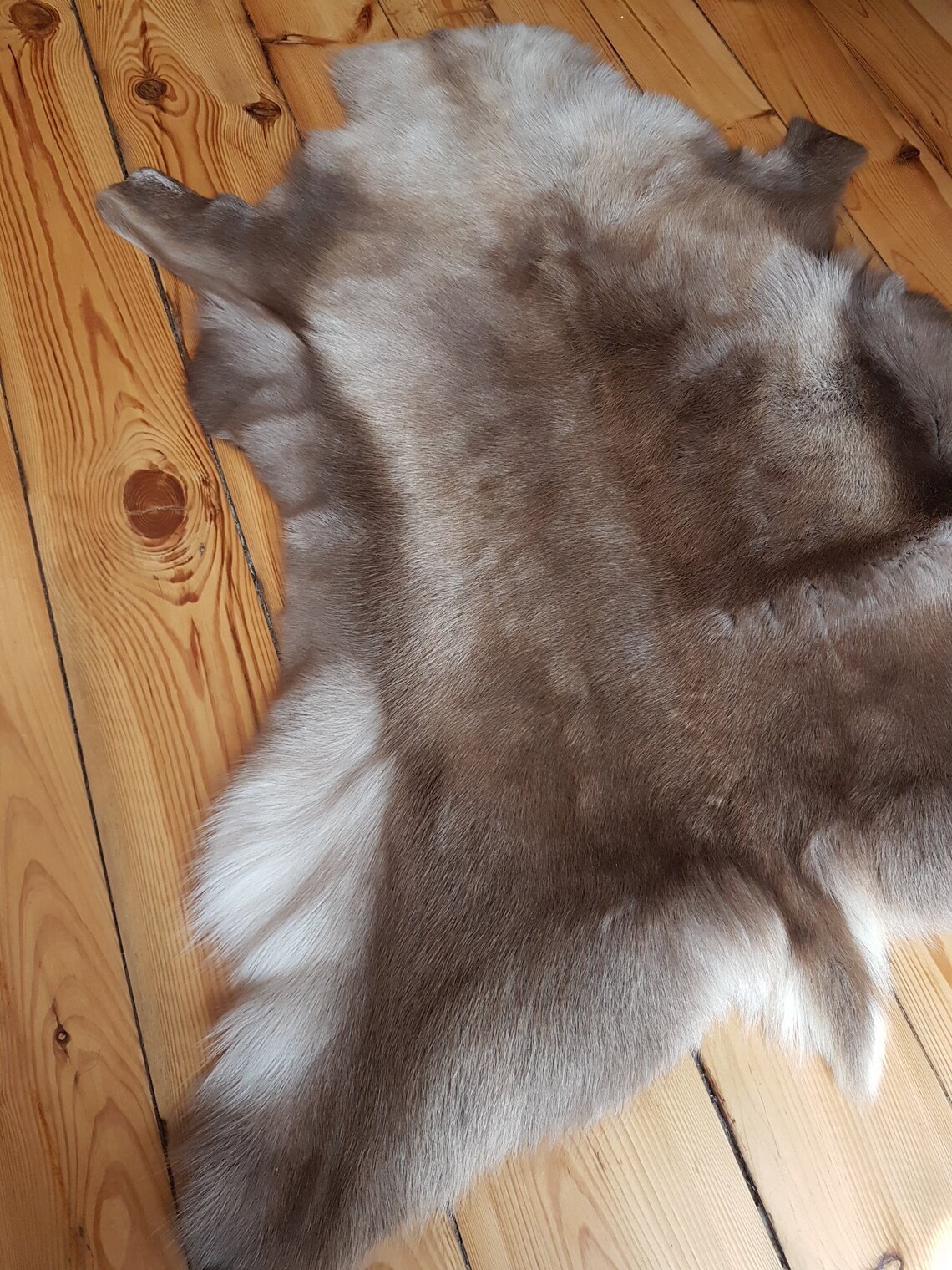 Real Reindeer Skin Natural Reindeer Hide Reindeer Throw Soft - Etsy
