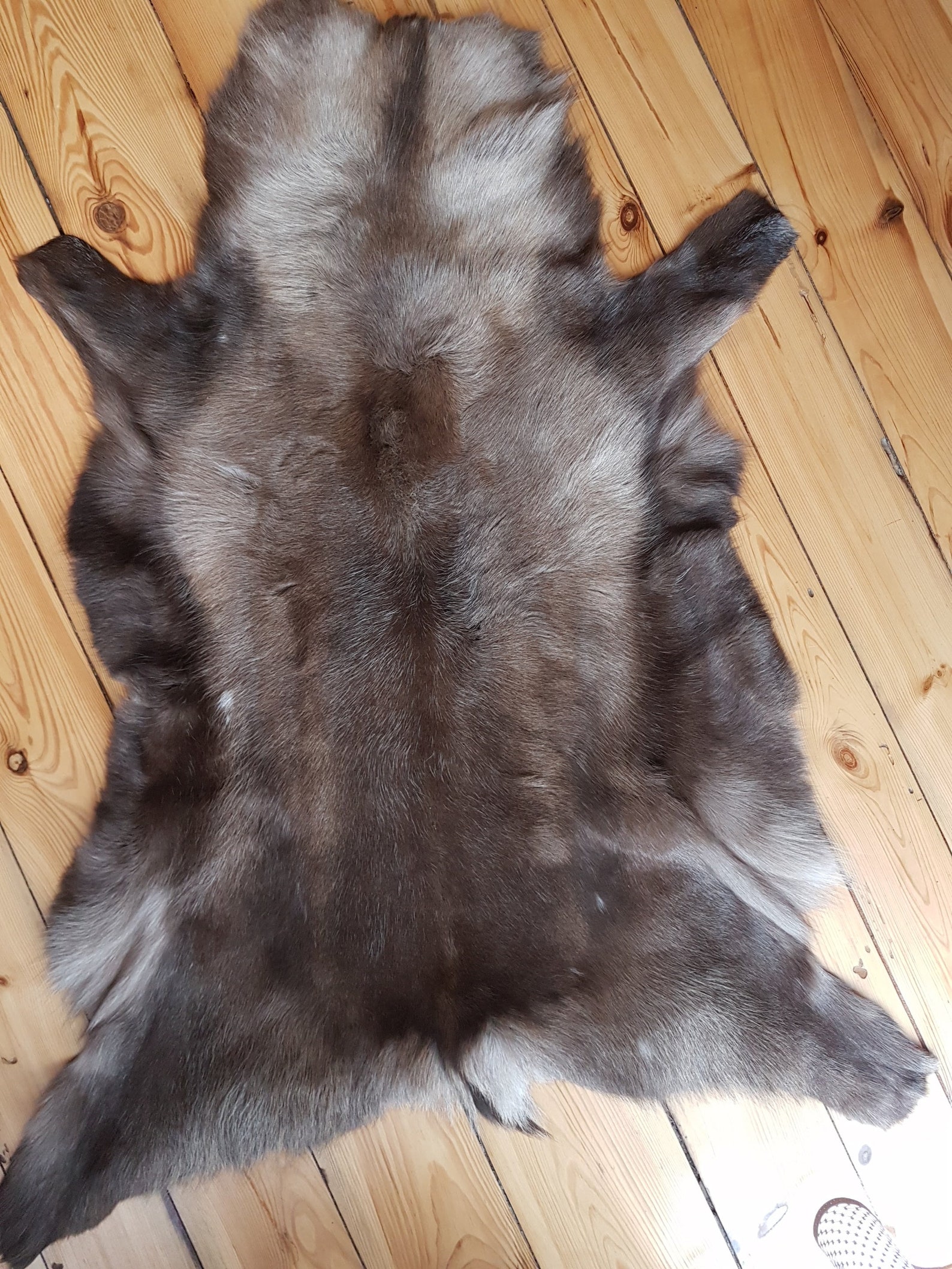 Real Reindeer Skin Natural Reindeer Hide Reindeer Throw Soft - Etsy