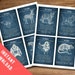 Printable Oracle Cards. Printable Oracle Deck. Instant Digital Download ...