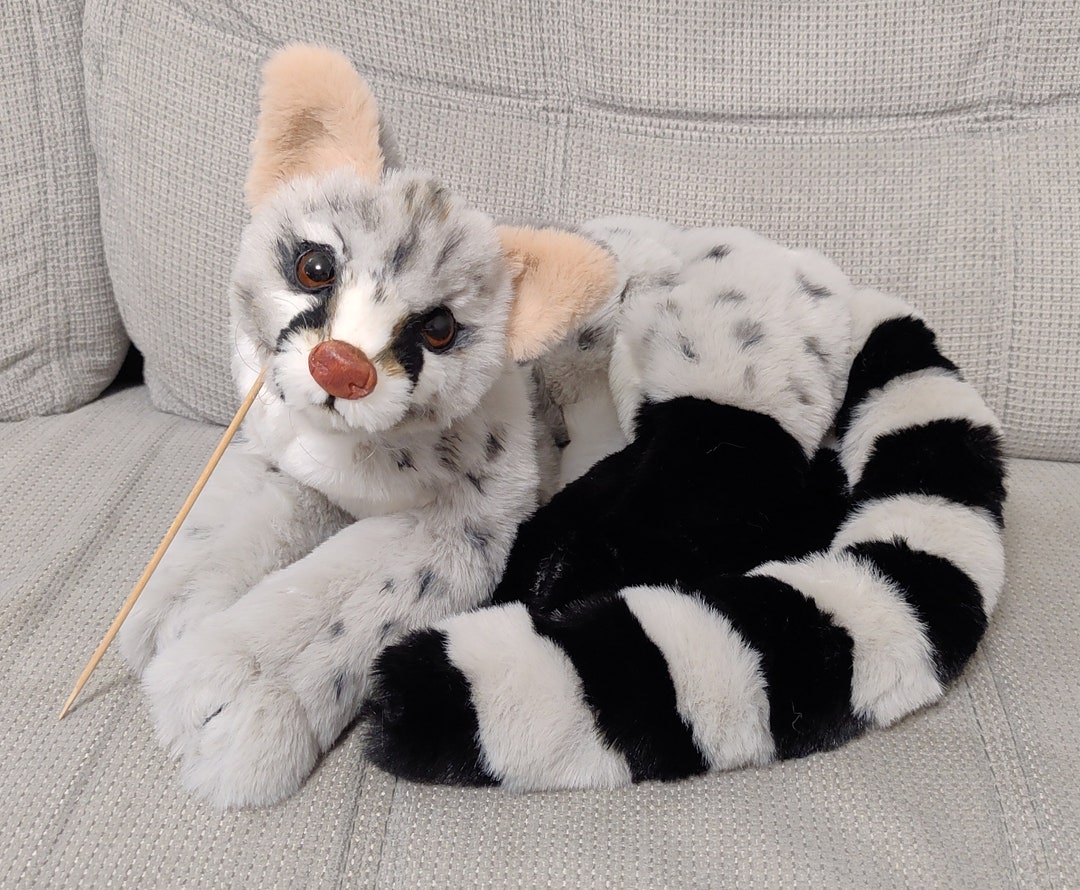 Made to Order! NOT in Stock! Life-size Common Genet Plush Made of ...