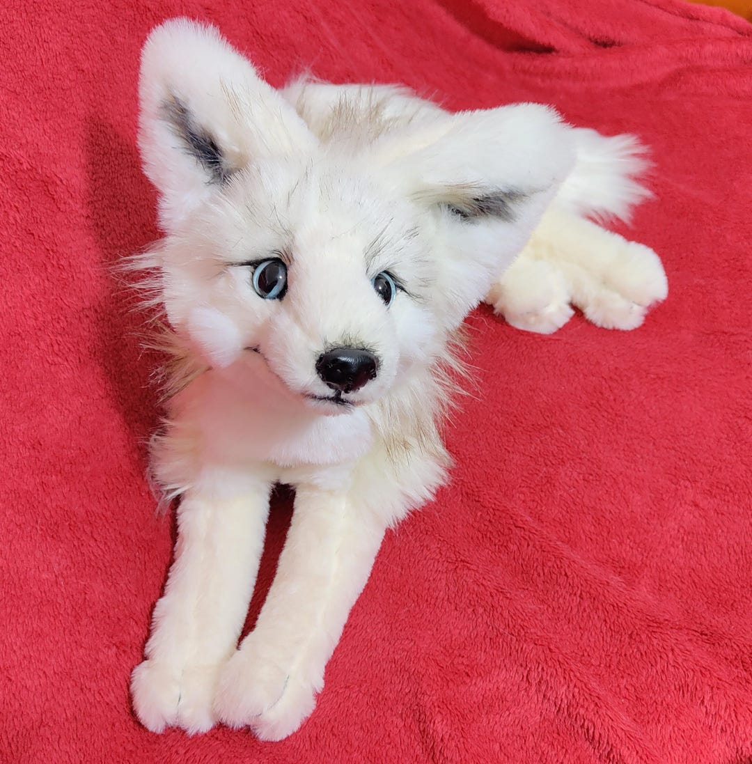 Made to Order! Not in Stock! Floppy and Weighted Arctic Wolf Plush ...