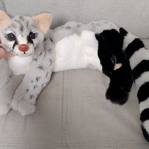 Made to Order! NOT in Stock! Life-size Common Genet Plush Made of ...