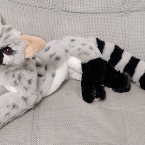 Made to Order! NOT in Stock! Life-size Common Genet Plush Made of ...