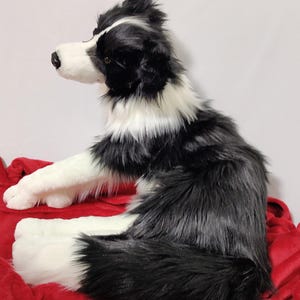 Made to Order! NOT in STOCK! Weighted&floppy Life-size Border Collie ...