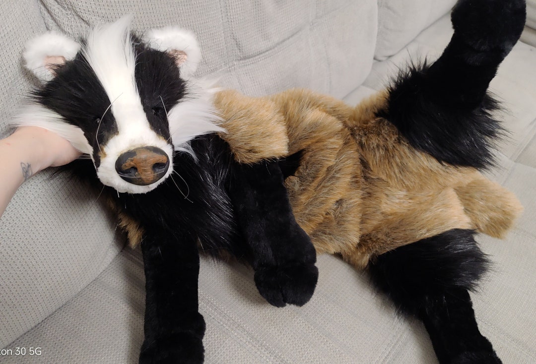 Made to Order! Weighted and Extra Floppy European Badger Plush/ Life ...