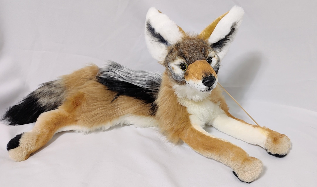 Made to Order! Not in Stock! Weighted&floppy JACKAL Plush/ Black-backed Jackal - Etsy