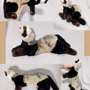 Made to Order! NOT in Stock! Weighted&floppy Realistic Ferret Plush ...