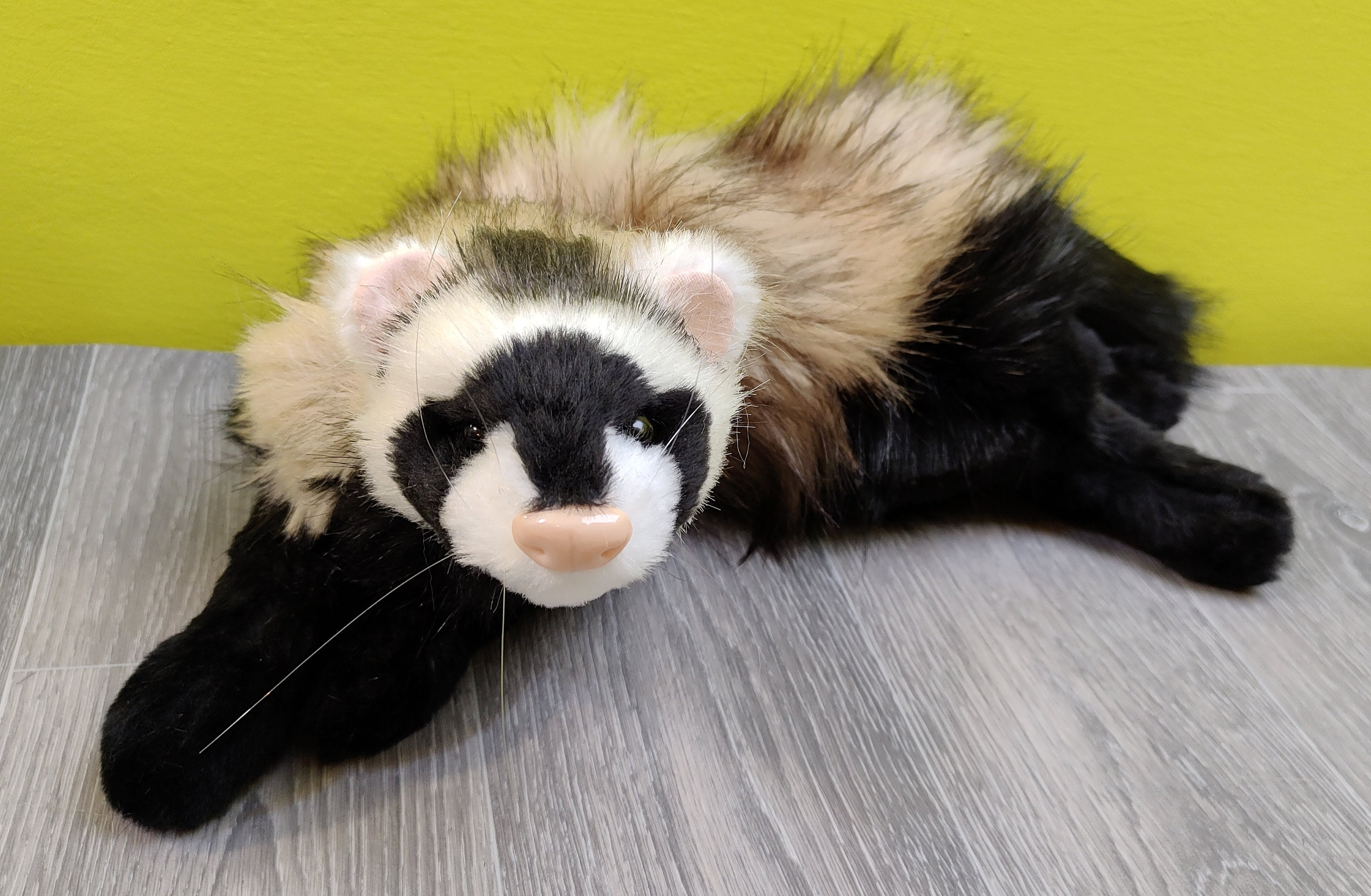 Made to Order! Beige-black Ferret With Black Mask/ Extra FLOPPY/ Solid ...