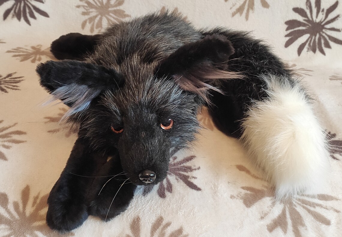 To order only for June 2021 Baby Silver Fox plush toy / Fox | Etsy