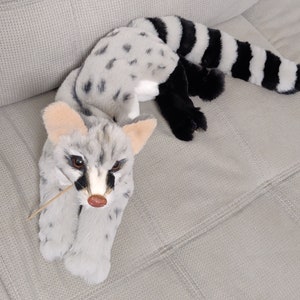 Made to Order! NOT in Stock! Life-size Common Genet Plush Made of ...