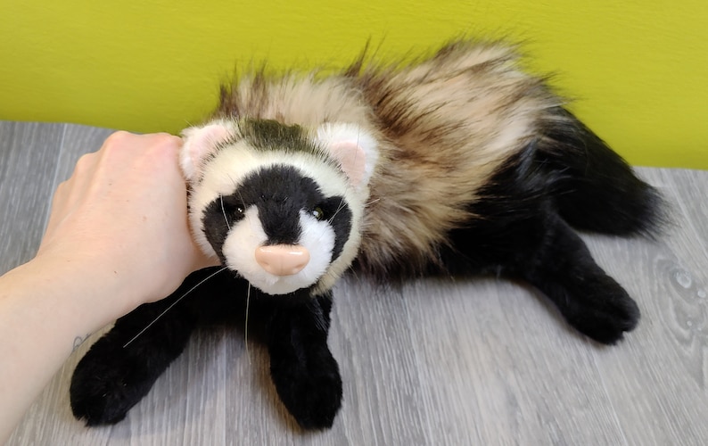 Made to Order! Beige-black Ferret With Black Mask/ Extra FLOPPY/ Solid ...