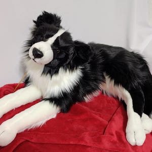 Made to Order! NOT in STOCK! Weighted&floppy Life-size Border Collie ...