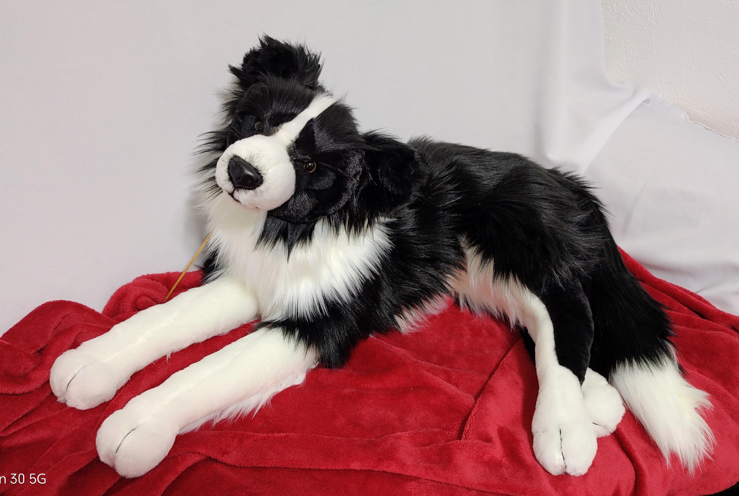 Border collie soft toy store