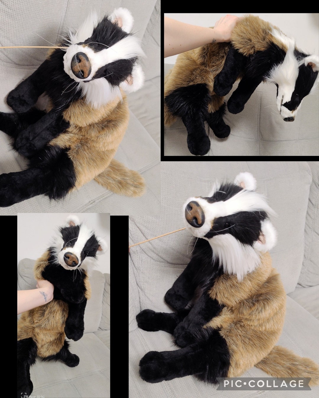 Made to Order Weighted and Extra Floppy European Badger Plush/ Life ...