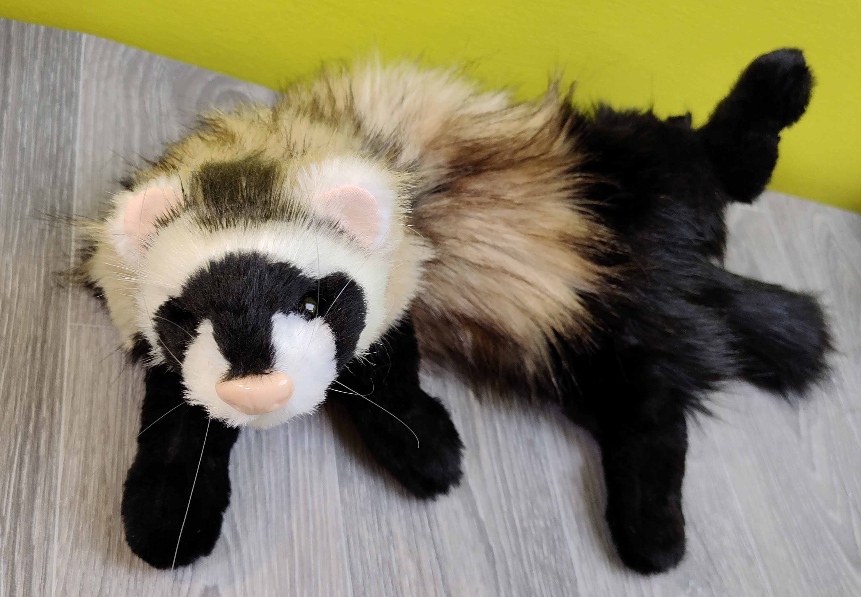 Made to Order! Beige-black Ferret With Black Mask/ Extra FLOPPY/ Solid ...