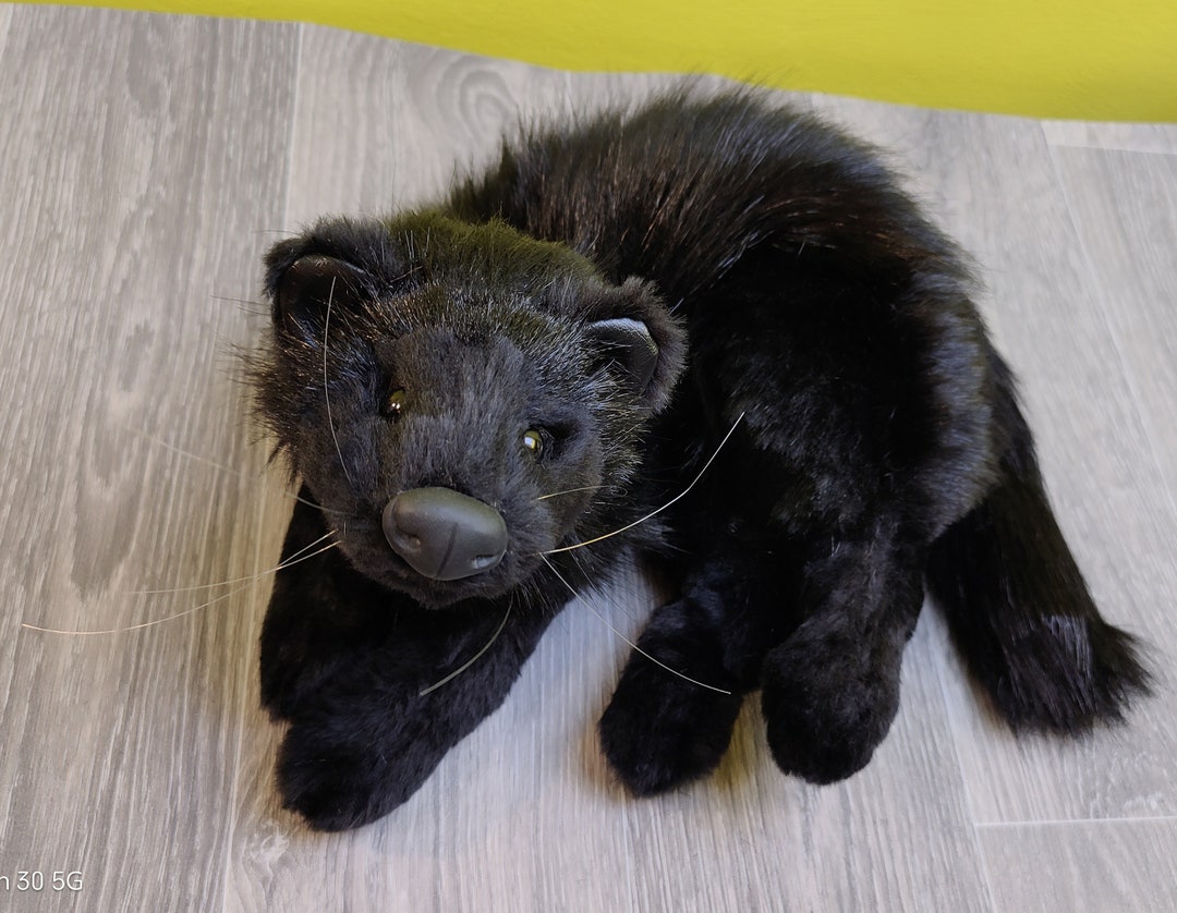 Made to Order! Solid Black Ferret Plush/ Extra FLOPPY Made of Luxury ...