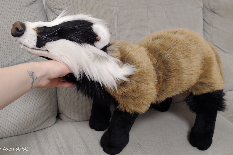 Made to Order! Weighted and Extra Floppy European Badger Plush/ Life ...