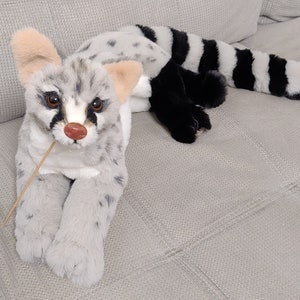 Made to Order! NOT in Stock! Life-size Common Genet Plush Made of ...