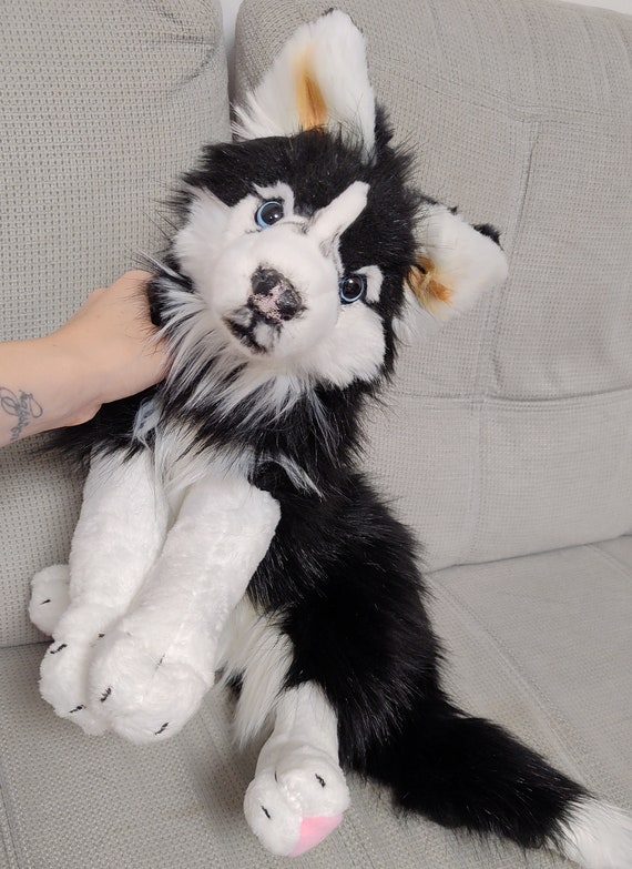 Black husky stuffed animal store