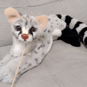 Made to Order! NOT in Stock! Life-size Common Genet Plush Made of ...
