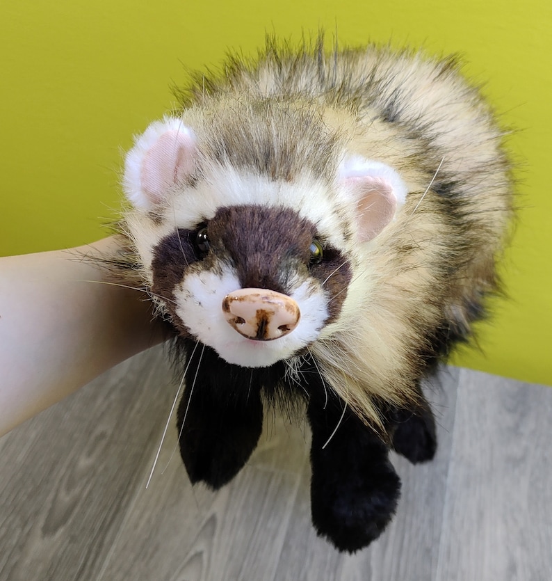 Made to Order! Beige-black Ferret With Brown Mask/ Extra FLOPPY/ Solid ...