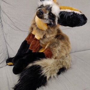 Made to Order! Weighted and Floppy Bat-eared Fox Plush - Etsy