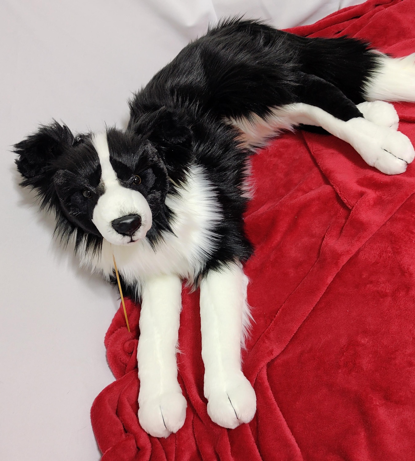Made to Order! NOT in STOCK! Weighted&floppy Life-size Border Collie ...