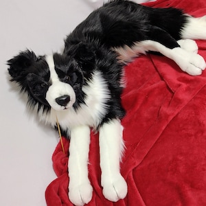 Made to Order! NOT in STOCK! Weighted&floppy Life-size Border Collie ...
