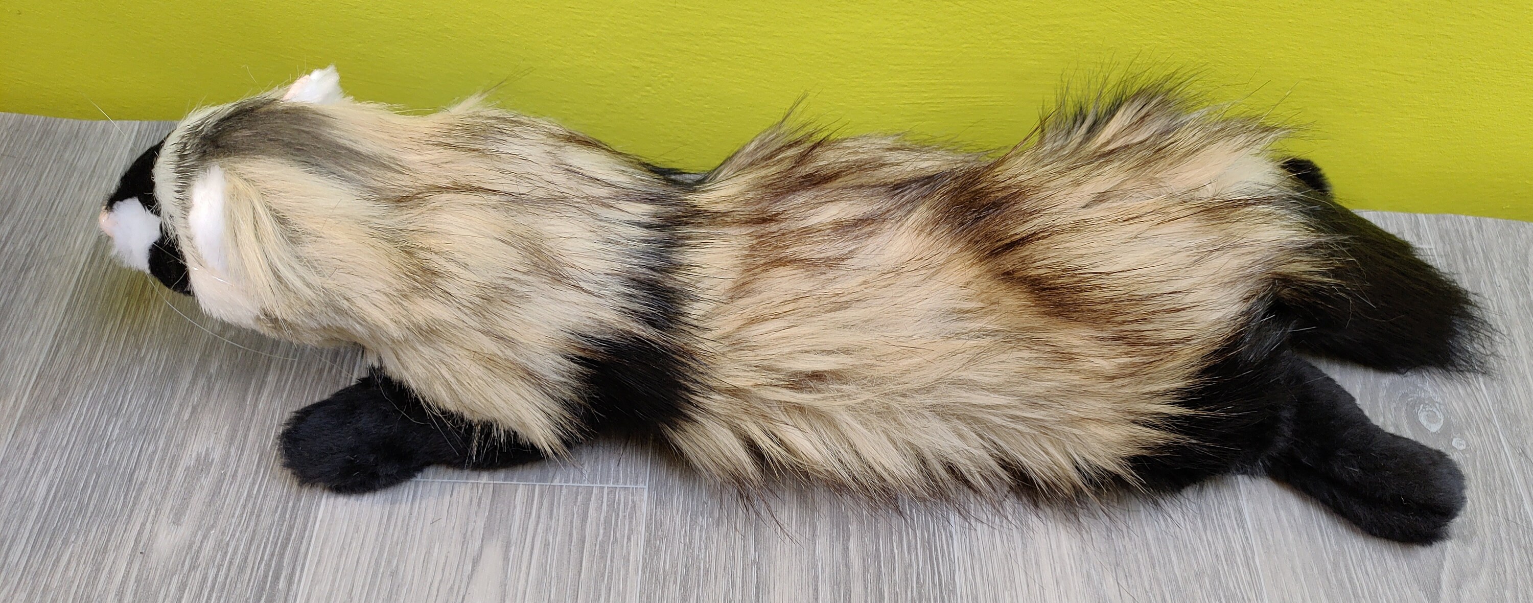 Made to Order! Beige-black Ferret With Black Mask/ Extra FLOPPY/ Solid ...