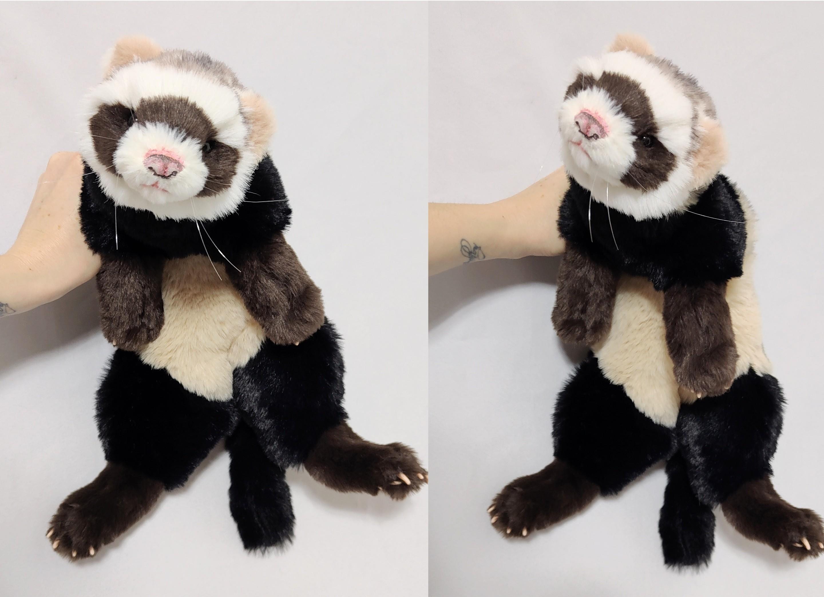 Made to Order! NOT in Stock! Weighted&floppy Realistic Ferret Plush ...
