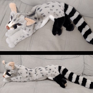Made to Order! NOT in Stock! Life-size Common Genet Plush Made of ...
