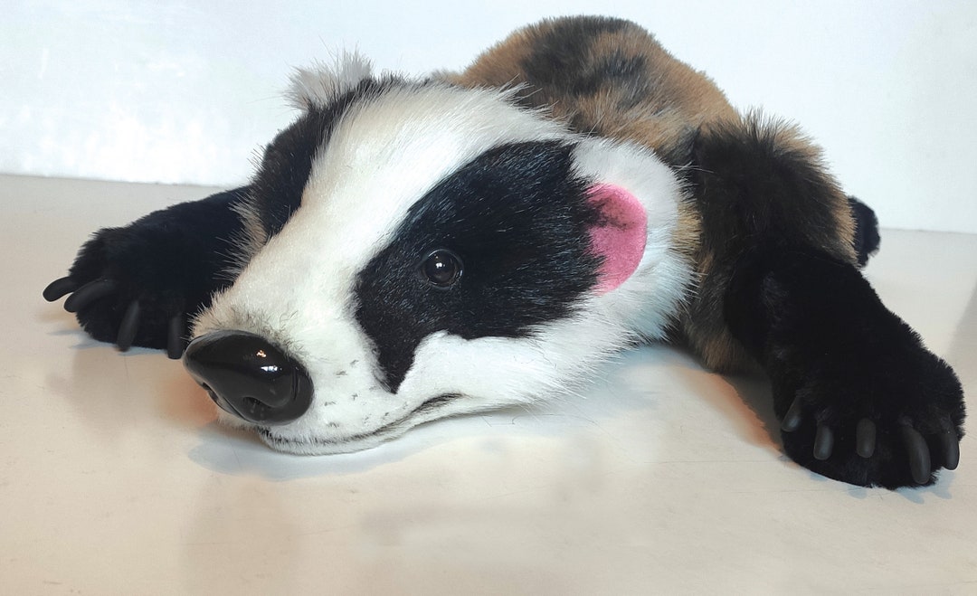 Made to Order Lying Badger Plush Art Doll/ European Badger Plush ...