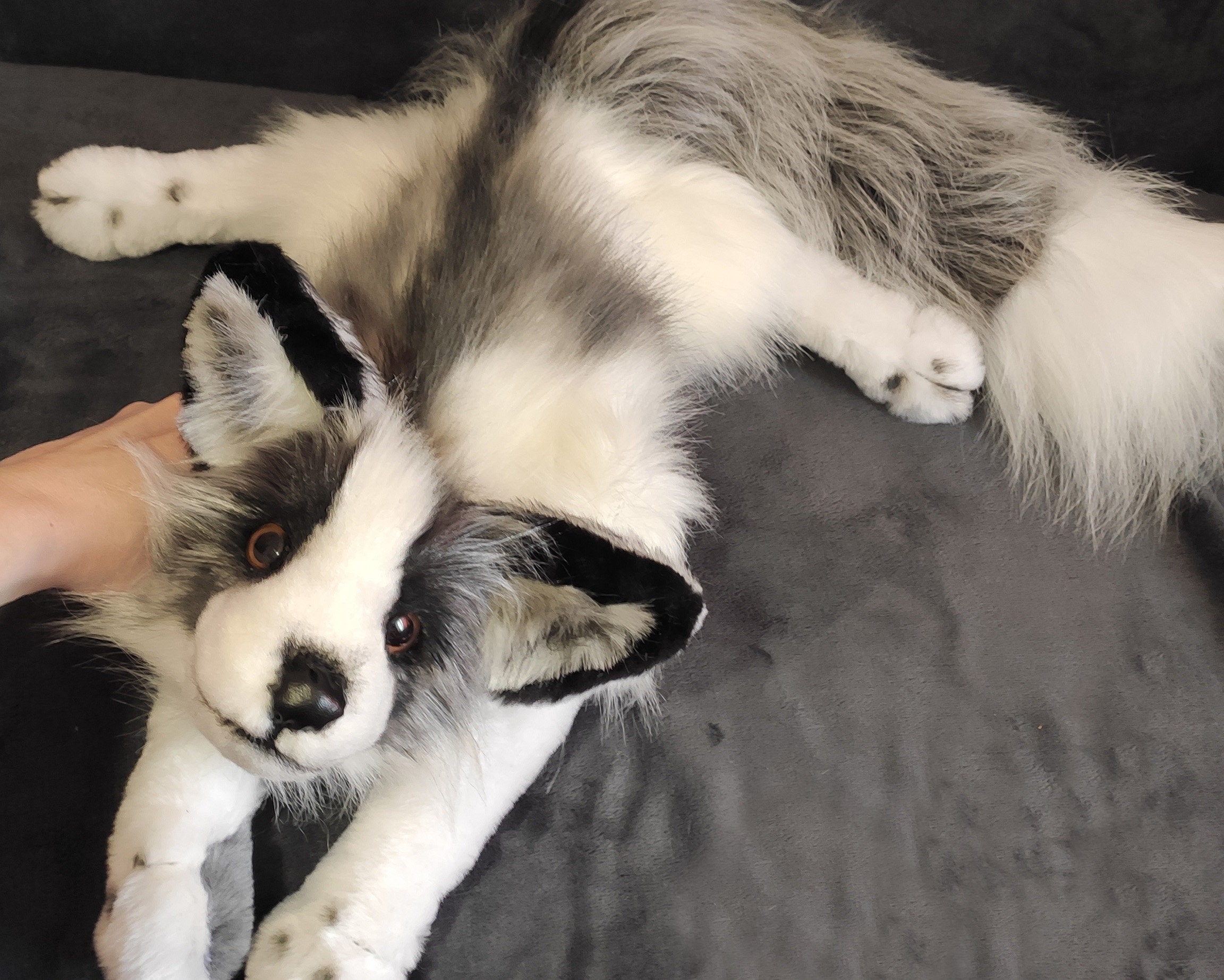 Marble Fox Kit