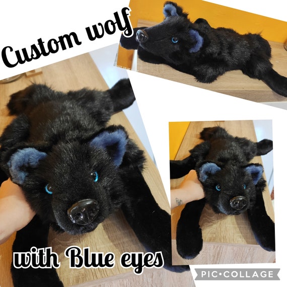 Baby Black Wolf Blue Eyes