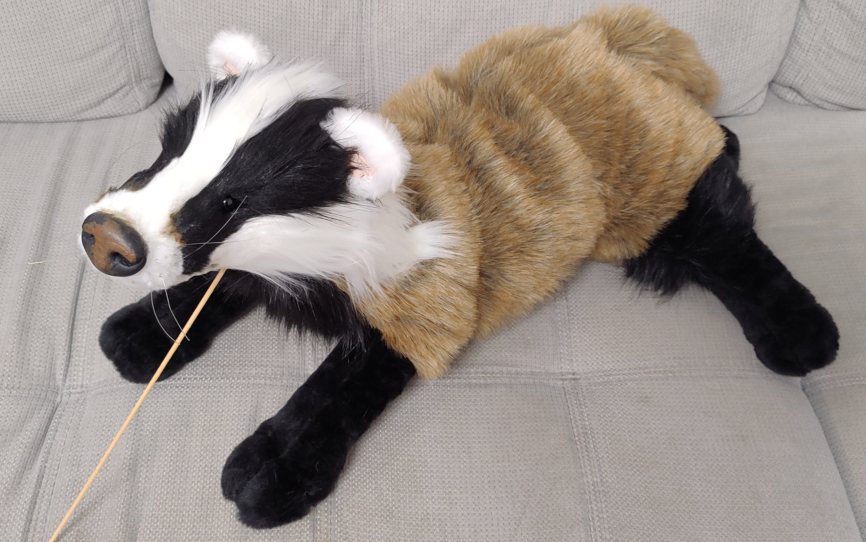 Large badger toy store