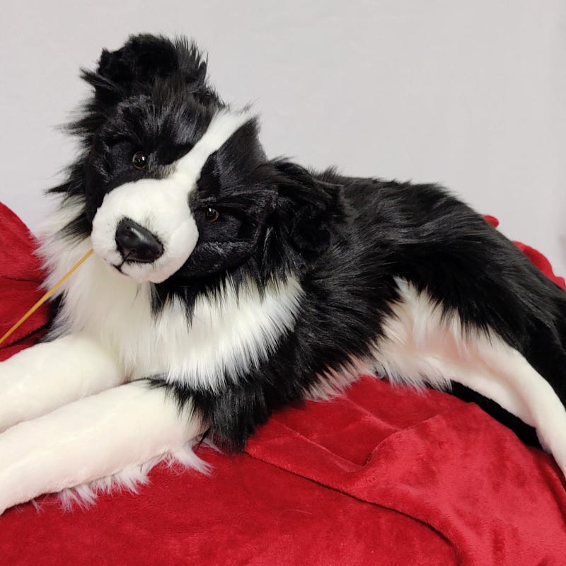 Douglas Dog - Etsy Australia