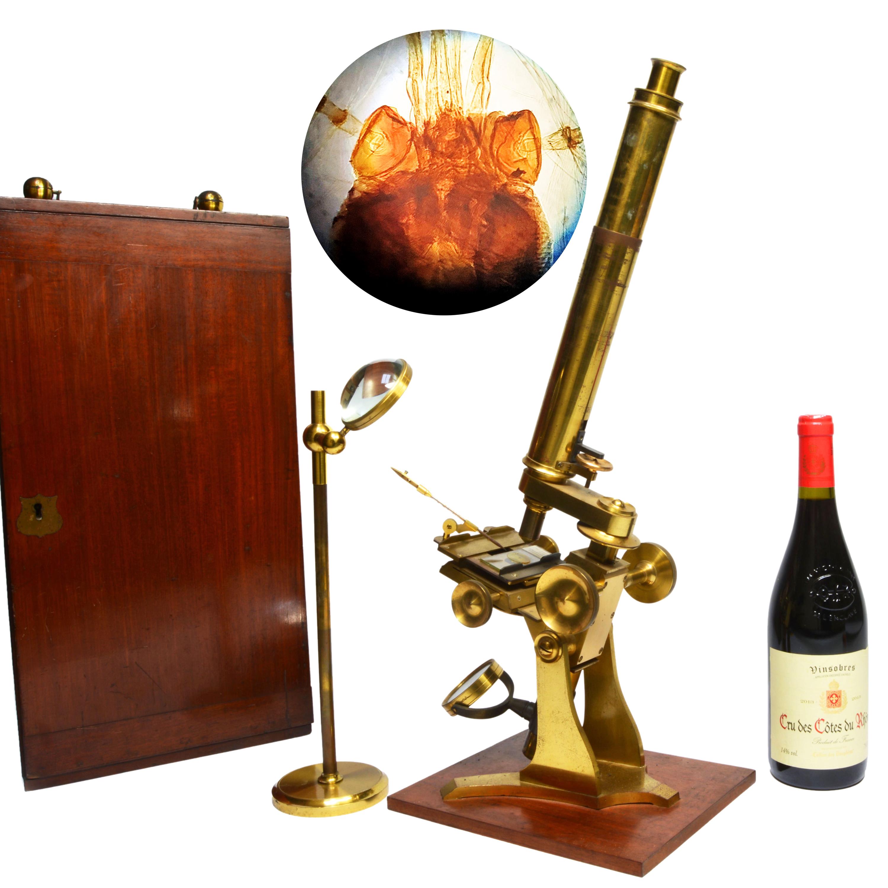 Antique Brass Microscope, Extremely Large, Bar Limb, Victorian Circa ...