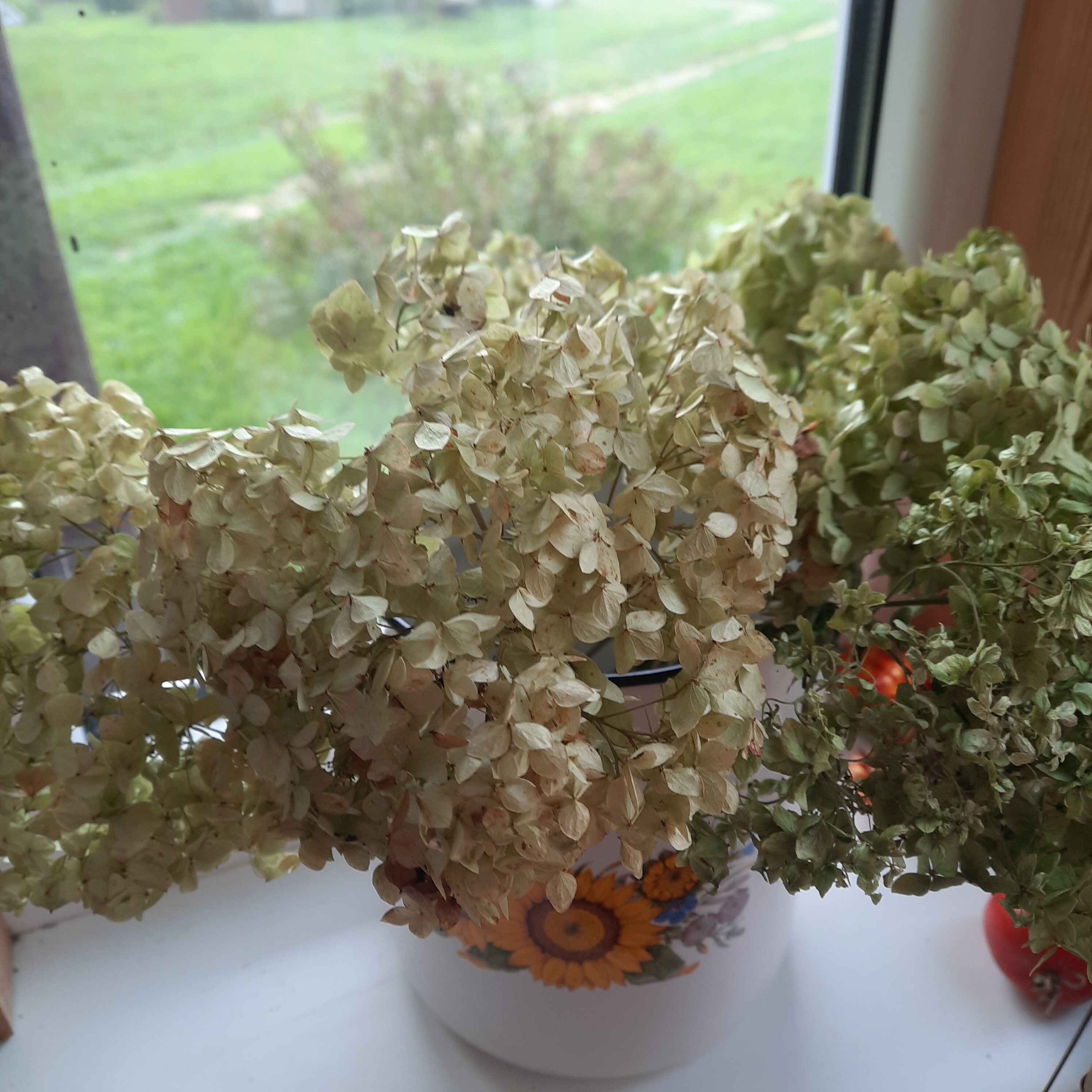 Hydrangeas 9 Stems Hydrangeas Dried Hydrangeas Beautiful Hydrangeas ...