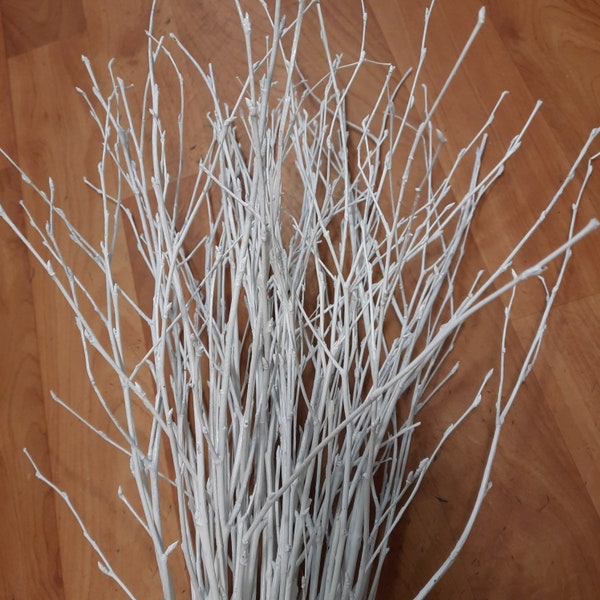 Long Birch Twigs - Etsy