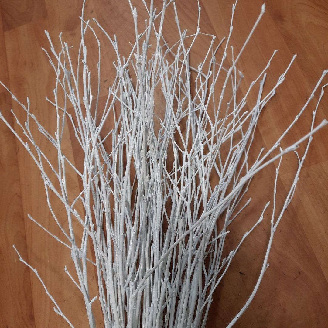 50100 White Painted Birch Branches White Birch Twigs 2256 Cm Long Birch ...