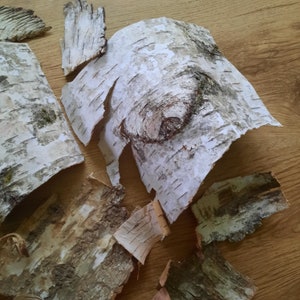 Birch Bark Strips - Etsy