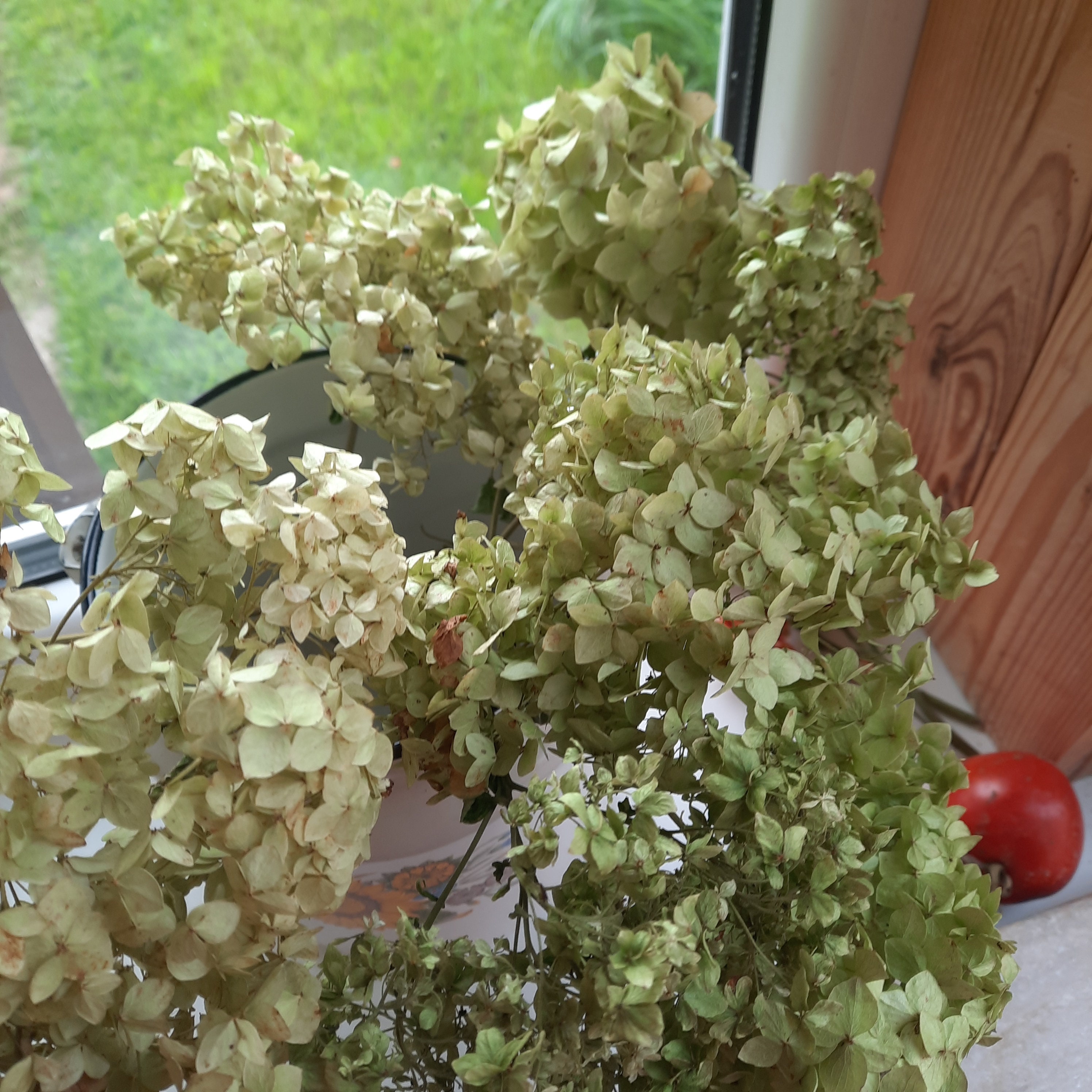 Hydrangeas 9 Stems Hydrangeas Dried Hydrangeas Beautiful Hydrangeas ...