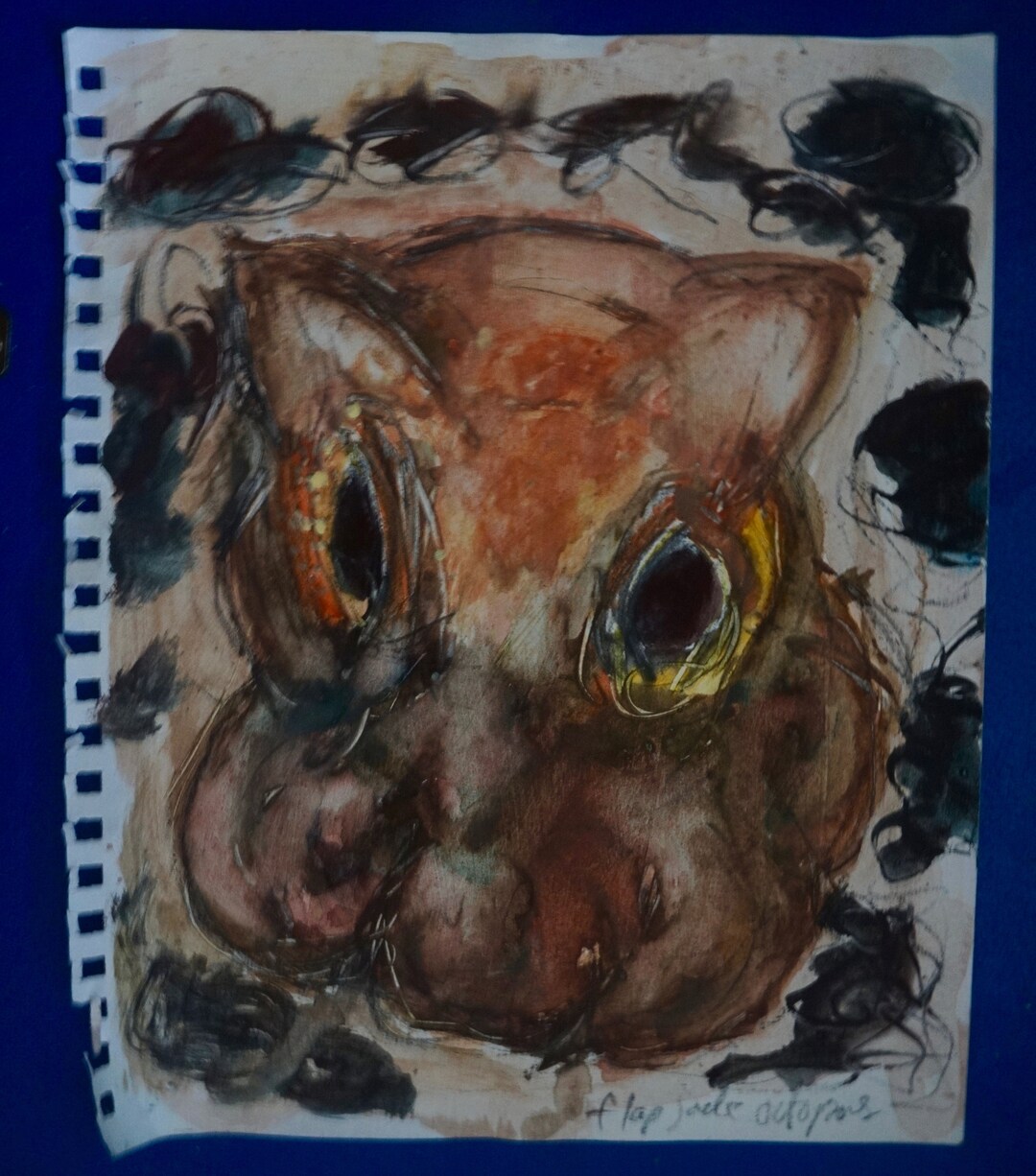 Flap-jack Octopus, Study - Etsy