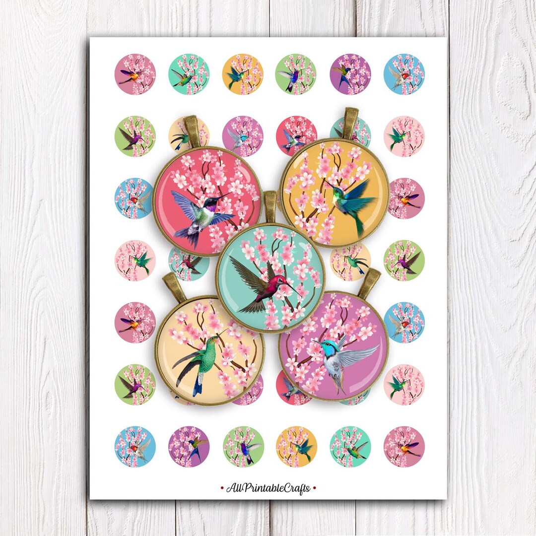 Hummingbird COLIBRI Digital Collage Sheet Cabochon Images Bottlecap ...