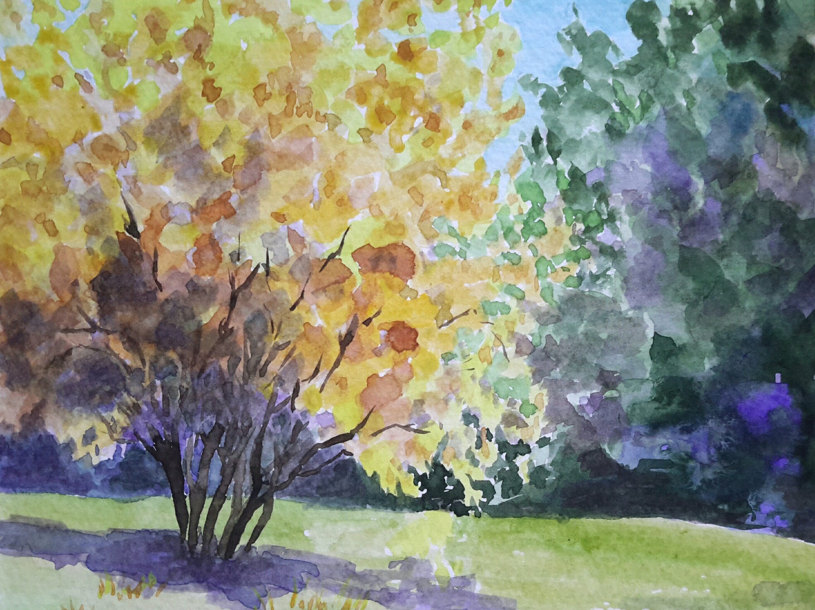 Geel bloeiende boom aquarel schilderij. Origineel landschap | Etsy