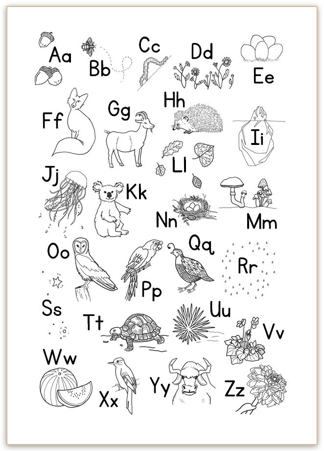 Nature Themed Alphabet Poster in Print - Etsy