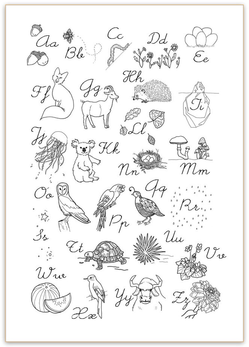 Nature Themed Alphabet Poster in Cursive - Etsy